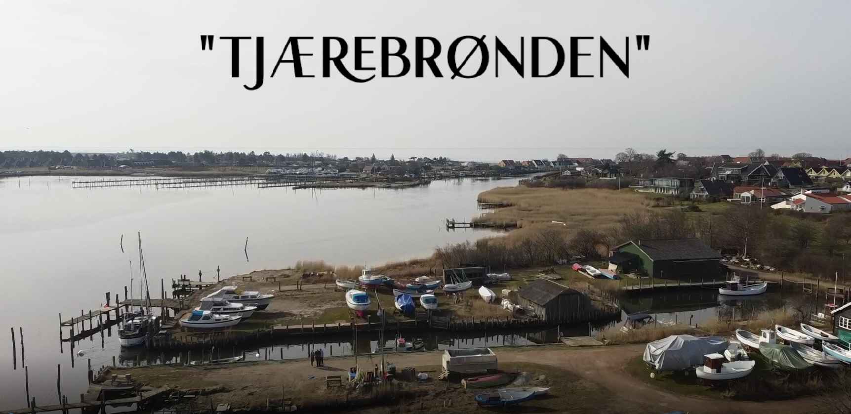 Video: Se hvordan vi kan hjælpe, hvis du har forurening på din grund ...